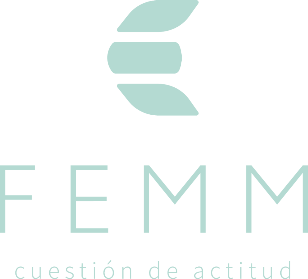 Inicio - FEMM